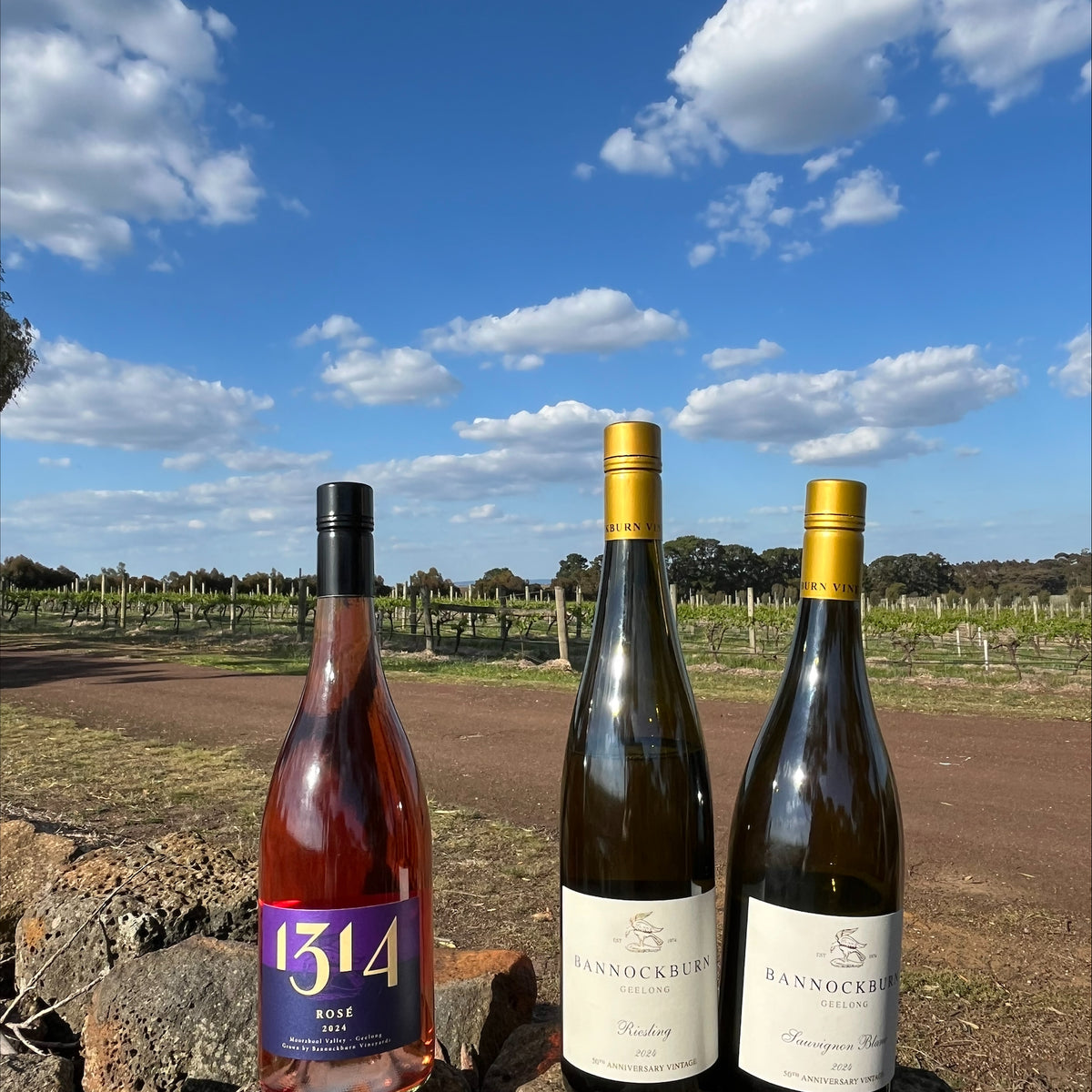 Spring Release - Riesling 24, Sauvignon Blanc 24, 1314 Rosé 2024 ...